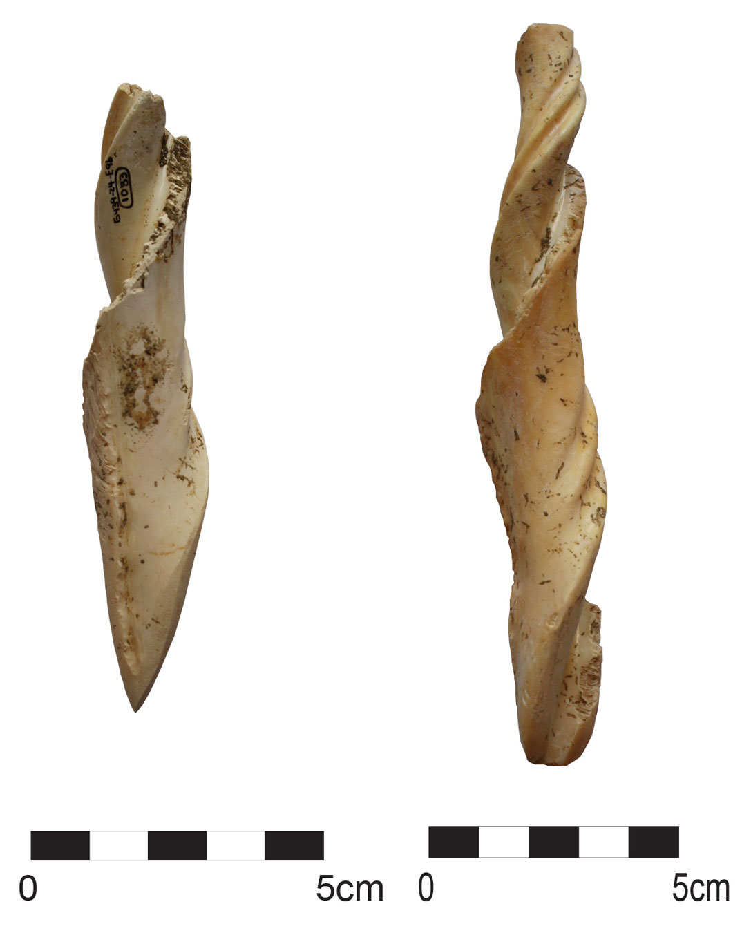 Los instrumentos de concha « Museo Nacional de Costa Rica