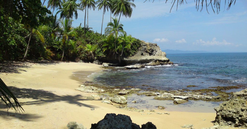 Historia Natural « Investigaciones « Museo Nacional de Costa Rica