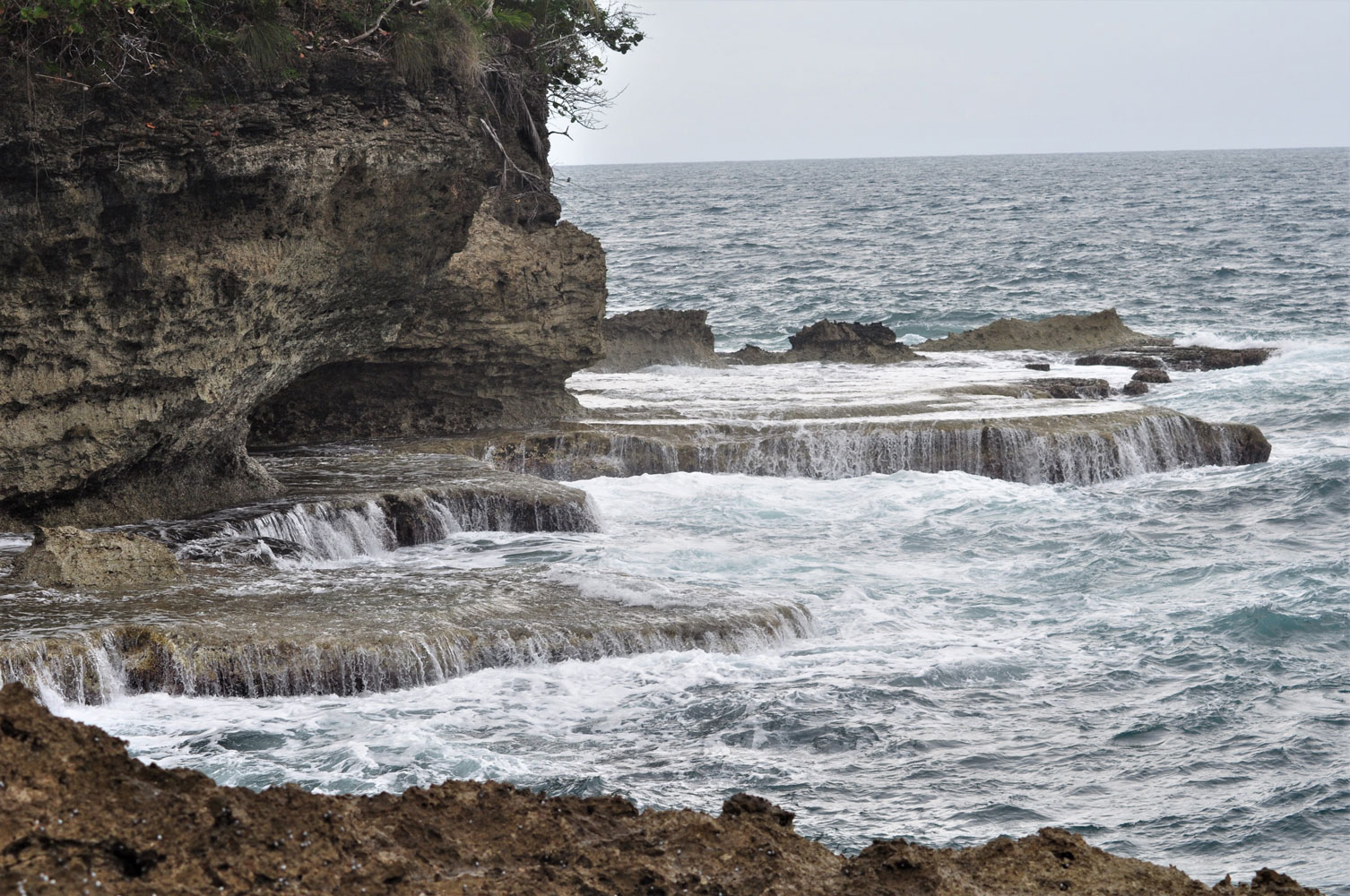 Descripción de Gandoca-Manzanillo y Sixaola « Museo Nacional de Costa Rica