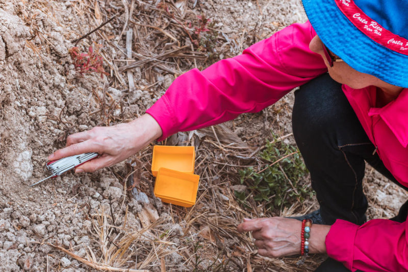 Historia Natural « Investigaciones « Museo Nacional de Costa Rica