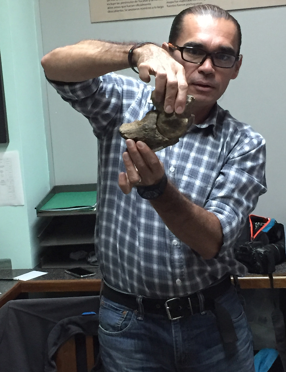 Costa Rica: tierra de gigantes prehistóricos « Noticias « Museo ...